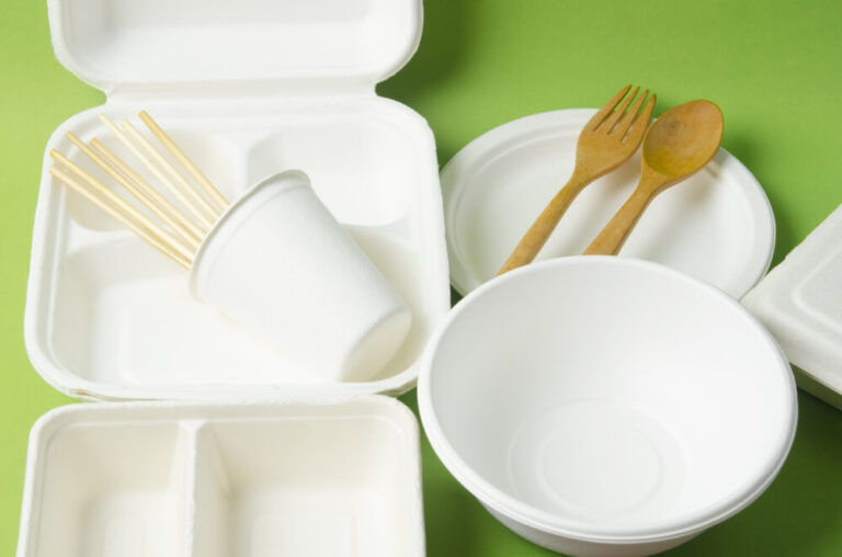 紙皿は電子レンジでチンしてもOK？100均等で買える対応紙皿も紹介 - RIRIFE リリフ